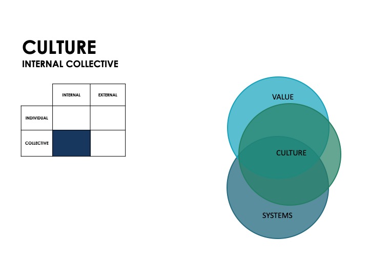 I INTERNAL COLLECTIVE // or, culture & systems – THE ECOLOGY OF BIRTH